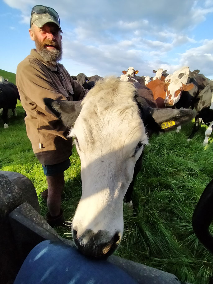 SunLive - Farmer suffers serious head injury - The Bay's News First