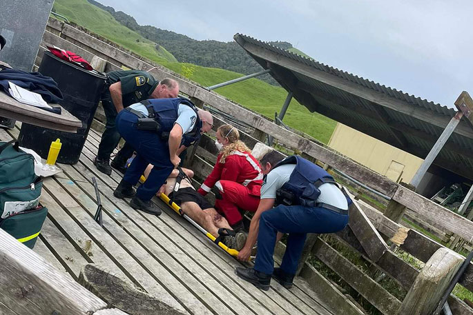 SunLive - Farmer suffers serious head injury - The Bay's News First