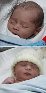 SunLive - Oh Baby! Welcome to the Bay - The Bay's News First