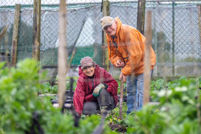 SunLive - Getting stuck in at Bayfair Gardens - The Bay's News First