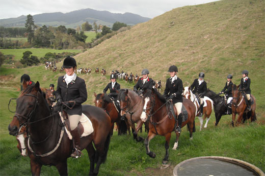 SunLive - Thrill of the hunt still strong - The Bay's News First
