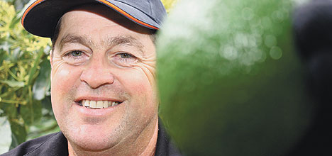 SunLive - Beating the industry average - The Bay's News First