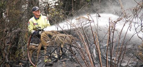 SunLive - Scrub fire at Te Puna - The Bay's News First