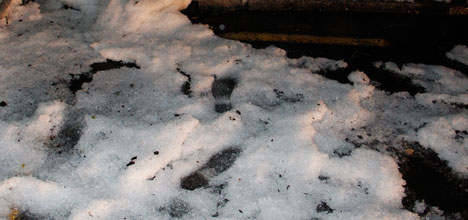 SunLive - The clean-up continues - The Bay's News First