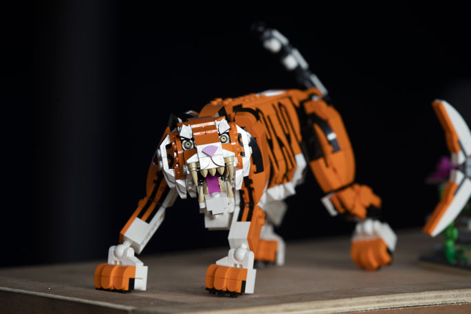SunLive - Lego masterpieces on show in Bethlehem - The Bay's News First