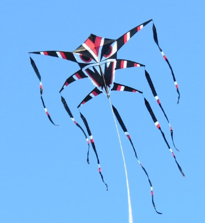 SunLive - Matariki - a season of hospitality and celebration - The Bay ...