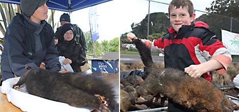 SunLive - Family battle for possum hunt win - The Bay's News First