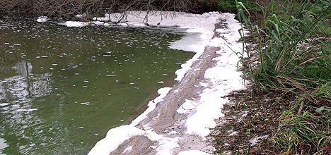 SunLive - Lake foam considered safe - The Bay's News First