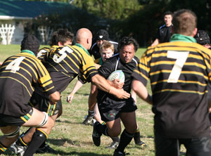 SunLive - Grassroots rugby - The Bay's News First
