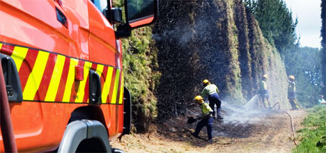 SunLive - Bay fire fear escalates - The Bay's News First