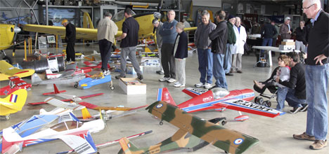 SunLive - Model aircraft auction - The Bay's News First