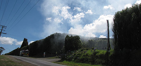 SunLive - Fire sparks little concern - The Bay's News First