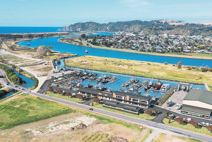 SunLive - More optimism for harbour development - The Bay's News First