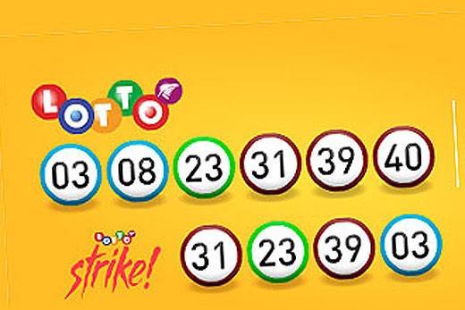 SunLive - A winning Lotto feeling - The Bay's News First