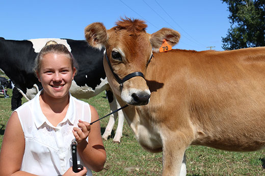 SunLive - Action packed A&P show - The Bay's News First