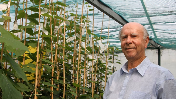 SunLive - Scientist behind SunGold receives honour - The Bay's News First