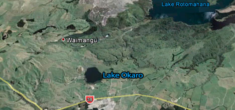 SunLive - Algae strikes Lake Okaro - The Bay's News First