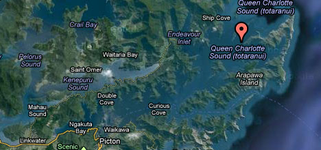 SunLive - Woman dives off Cook Strait ferry - The Bay's News First