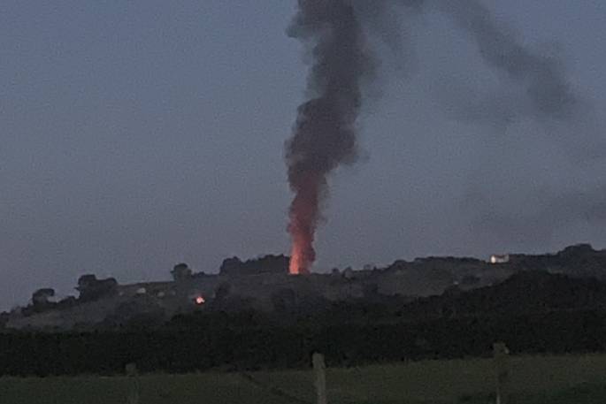 SunLive - Access issues to tree fire in Te Puna - The Bay's News First