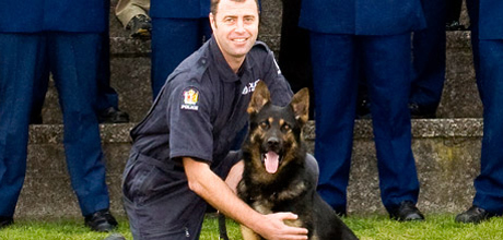 SunLive - Police dog Turk is tops - The Bay's News First