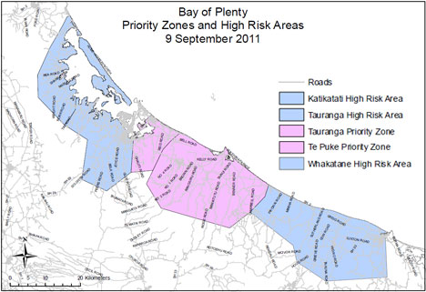 SunLive - Psa found in Waihi orchard - The Bay's News First