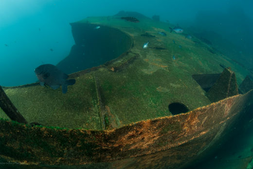 SunLive - Big thumbs up for Rena dives - The Bay's News First