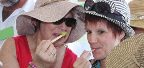 SunLive - Sun shines on avo fest - The Bay's News First