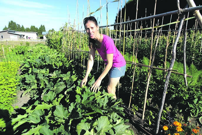 SunLive - Digging in to address climate change - The Bay's News First