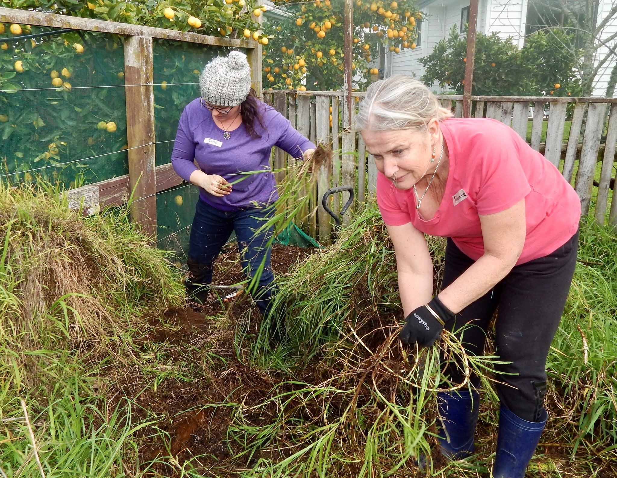 The Weekend Sun | Growing food security